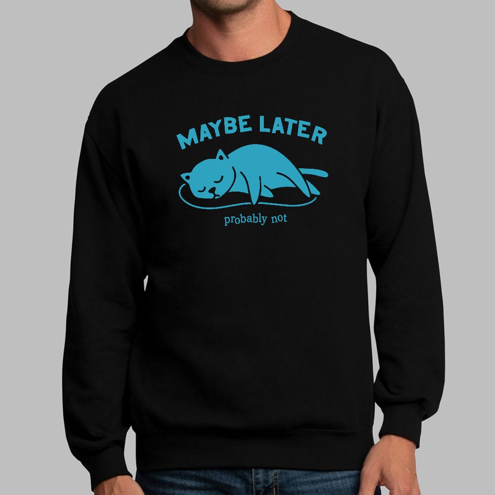 Maybe Later Cat Sweater – 6DS
